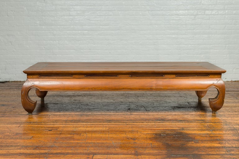 Chinese Ming Dynasty Style Coffee Table with Natural Patina and Chow ...