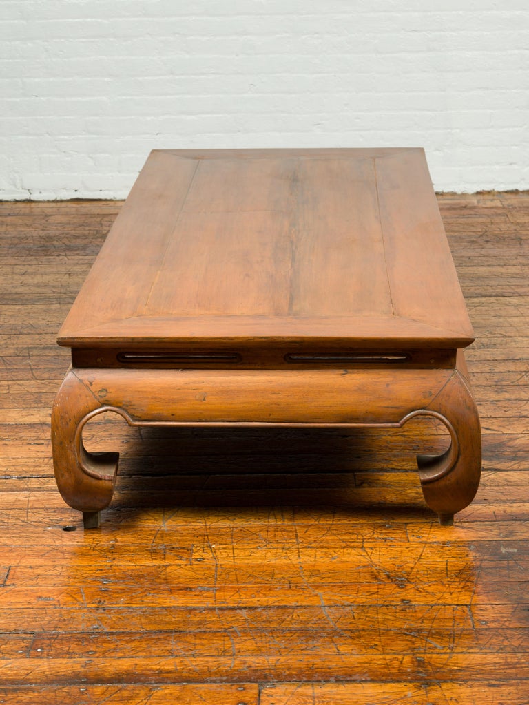 Chinese Ming Dynasty Style Coffee Table with Natural Patina and Chow ...