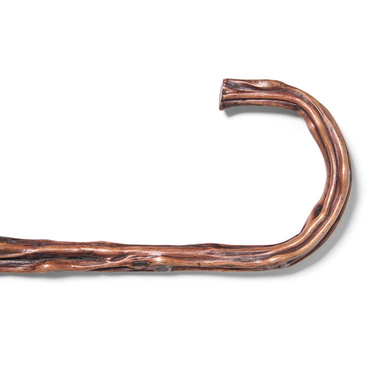 Chinese Organic Root Walking Stick, c. 1870 at 1stDibs