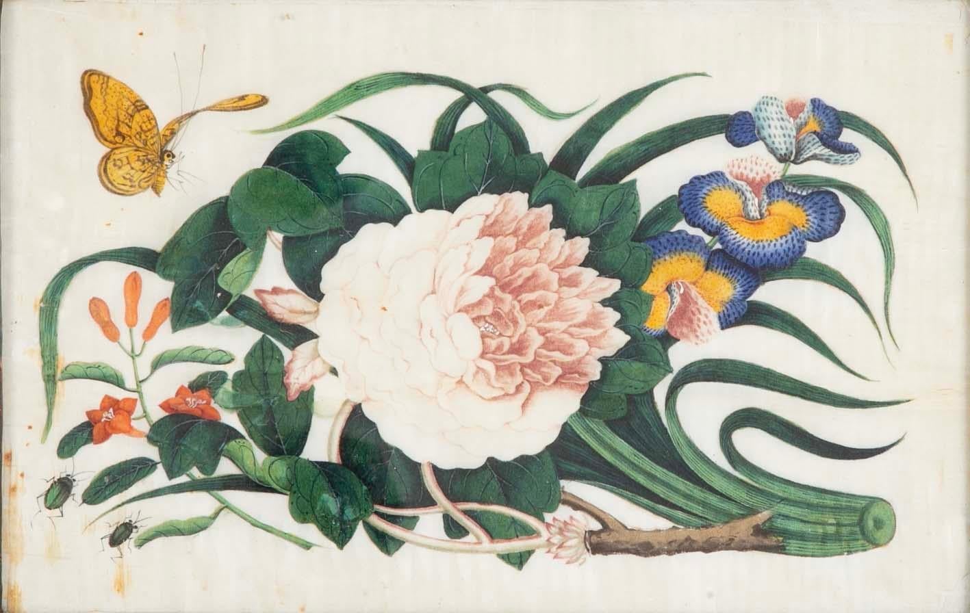 Chinese Pith Paintings Of Flowers and Butterflies In Silver Gilt Mirror ...