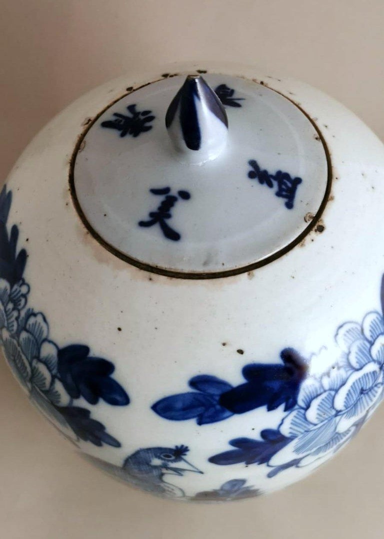 Chinese Porcelain Ginger Jar With Lid Cobalt Blue Decorations For Sale ...