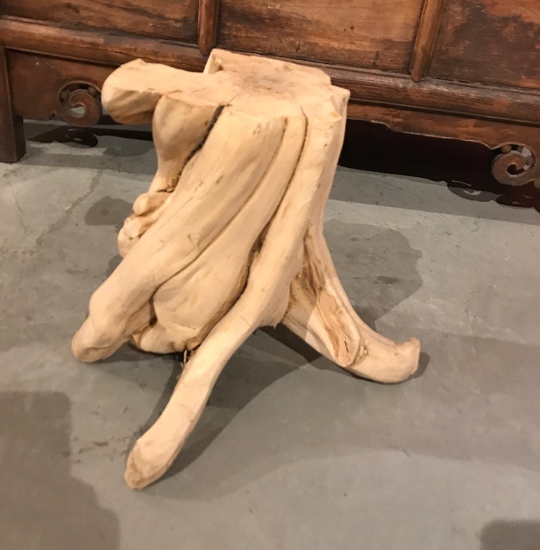 Chinese Root Wood Side Table/Pedestal For Sale at 1stDibs