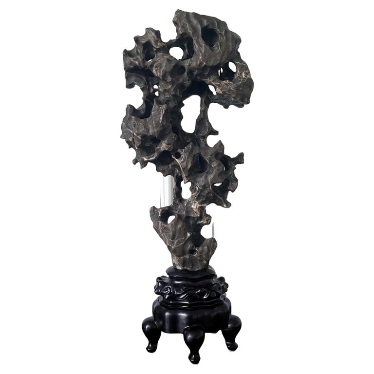 Chinese Scholar Rock Black Taihu Stone on Wood Stand For Sale at 1stDibs