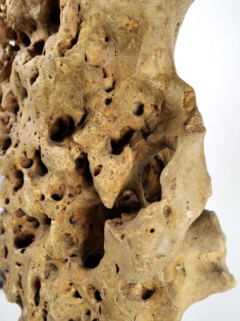 Chinese Scholar Stone Taihu Rock on Stand at 1stDibs