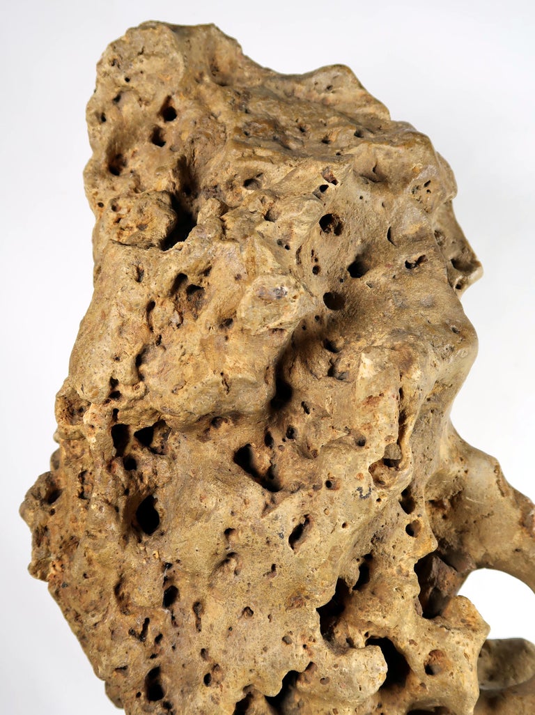Chinese Scholar Stone Taihu Rock on Stand at 1stDibs