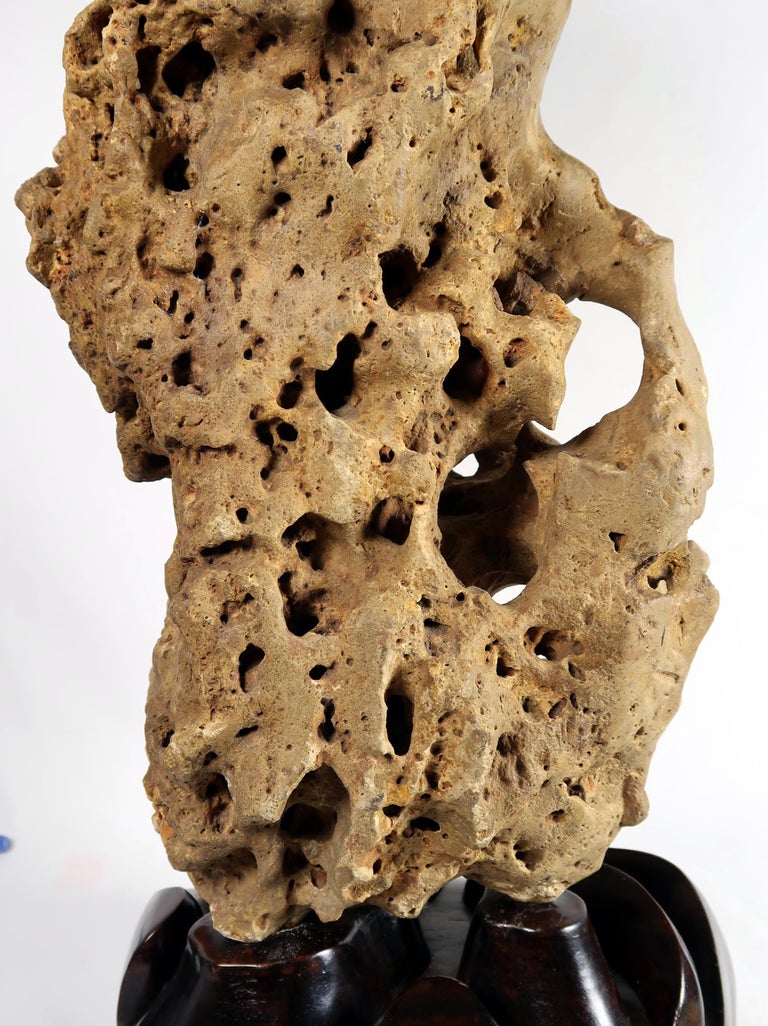 Chinese Scholar Stone Taihu Rock on Stand at 1stDibs