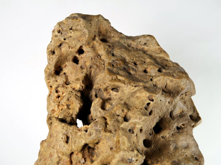Chinese Scholar Stone Taihu Rock on Stand at 1stDibs