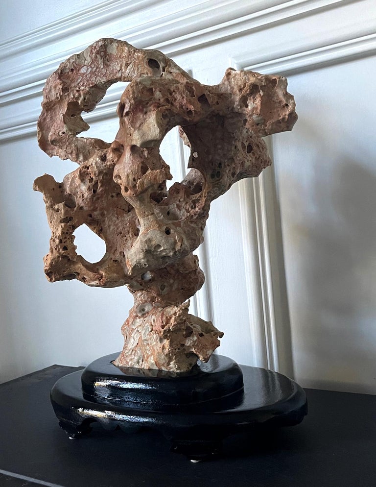 Chinese Scholar Stone Taihu Rock on Wood Stand For Sale at 1stDibs