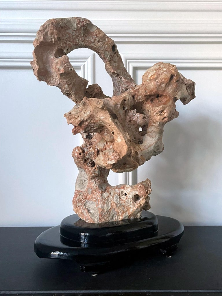 Chinese Scholar Stone Taihu Rock on Wood Stand For Sale at 1stDibs