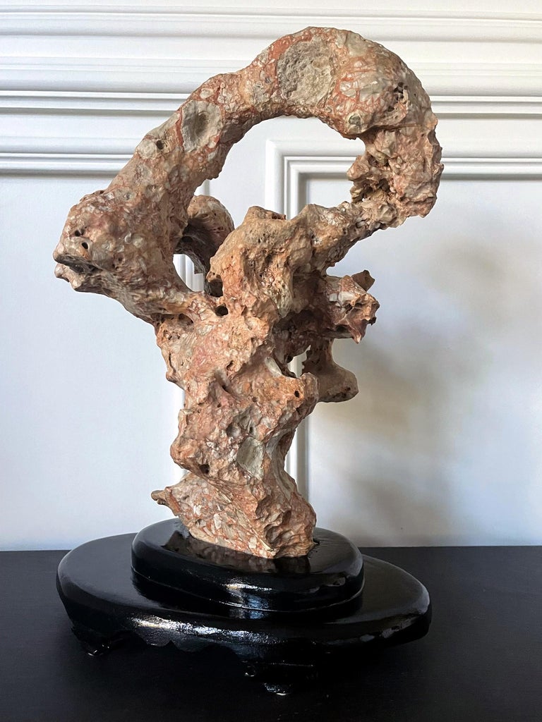 Chinese Scholar Stone Taihu Rock on Wood Stand For Sale at 1stDibs