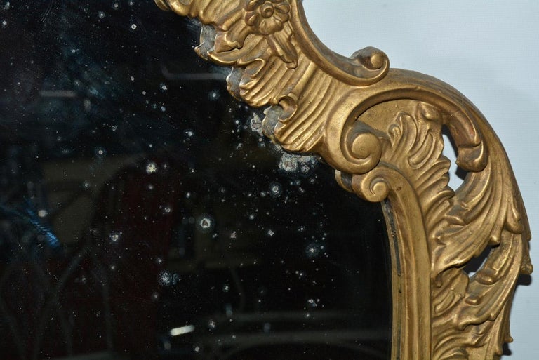 Chippendale Rococo Style Mirror For Sale at 1stDibs