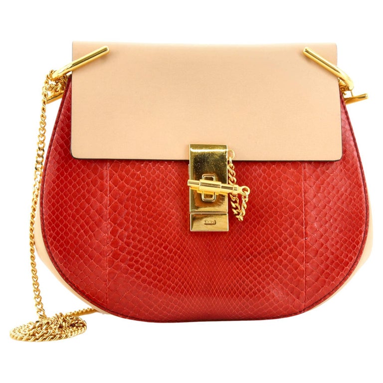 Chloe Drew Crossbody Bag Python and Leather Small For Sale at 1stDibs