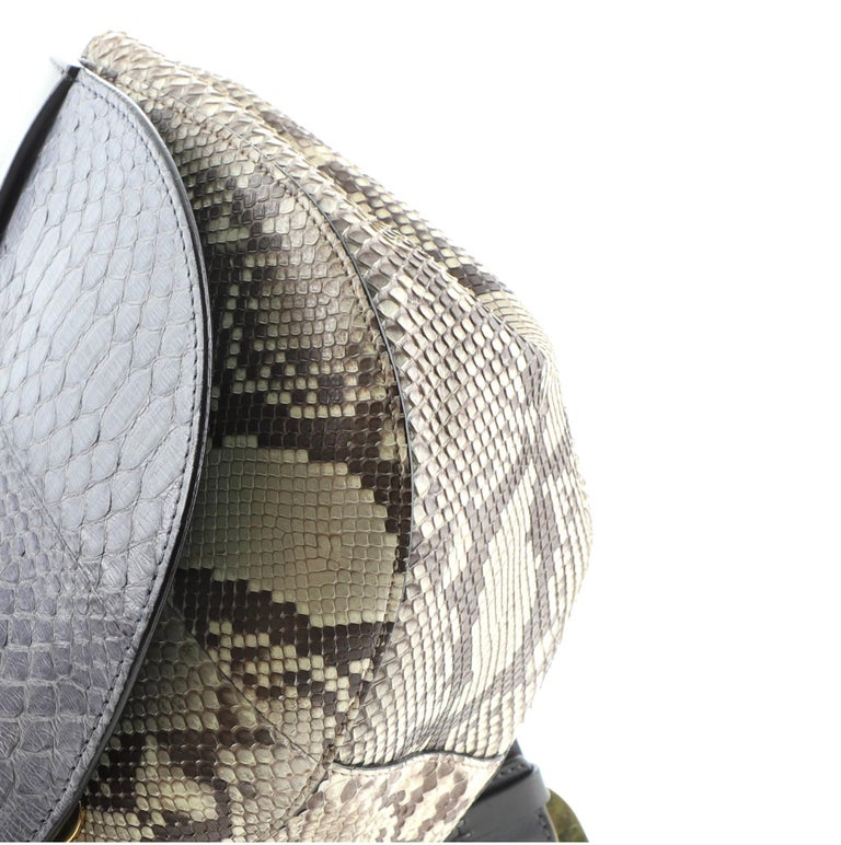 Chloe Drew Messenger Bag Python Medium Blue, Neutral For Sale at 1stDibs