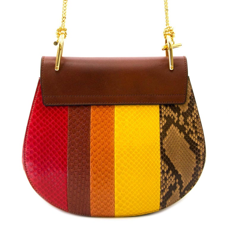 Chloé Drew Multicolor Python Crossbody Bag at 1stDibs | chloe drew sale