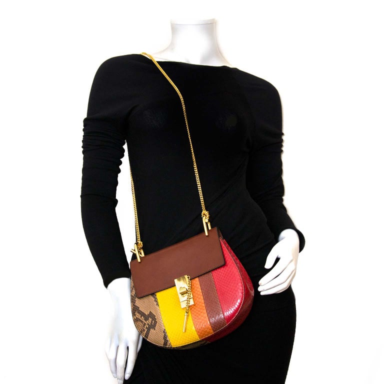 Chloé Drew Multicolor Python Crossbody Bag at 1stDibs | chloe drew sale