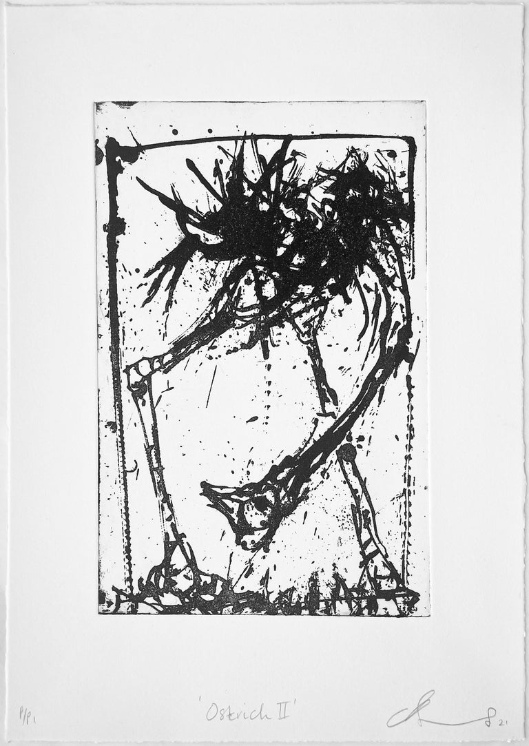 Chris Burns - OSTRICH II, 2021 Etching, aquatint and dry point on ...