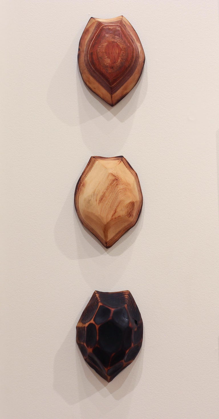 Chris Condon - "3 Terrapin Shells" - Turtle Shells - Wildlife Sculpture ...