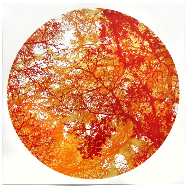 Chris Keegan - Wilderness, Orange Contemporary Surrealist Graphic Style ...