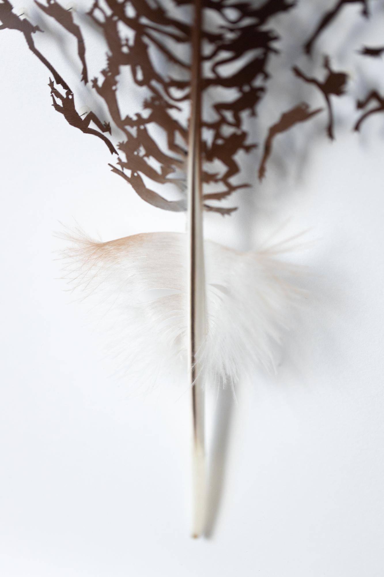 Chris Maynard - "Amphibian Delight", hand-carved feather sculpture For ...