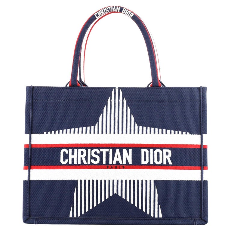Christian Dior Dioralps Book Tote Embroidered Canvas Small For Sale at ...