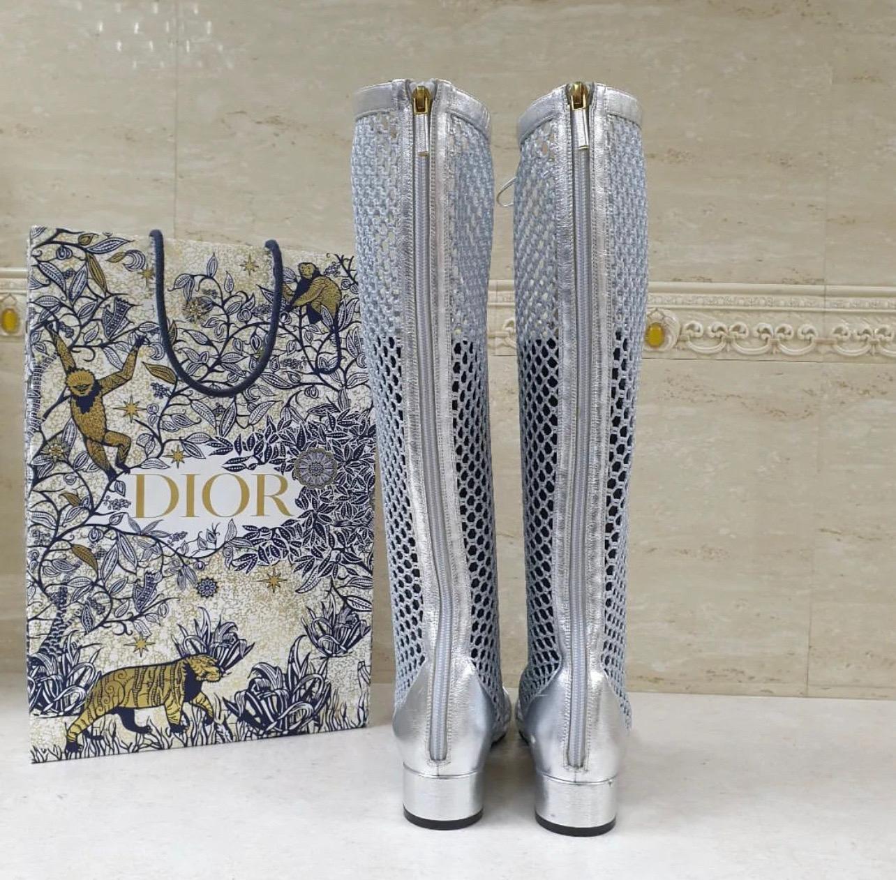 CHRISTIAN DIOR Metallic Silver 2018 NAUGHTILY-D FISHNET at 1stDibs