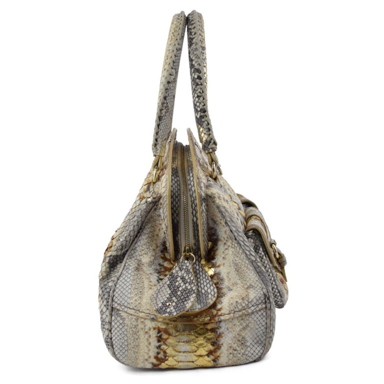 Christian Dior Python Frame Pocket Satchel For Sale at 1stDibs