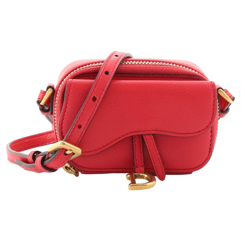 Christian Dior Saddle Shoulder Strap Pouch Goatskin Mini For Sale at ...