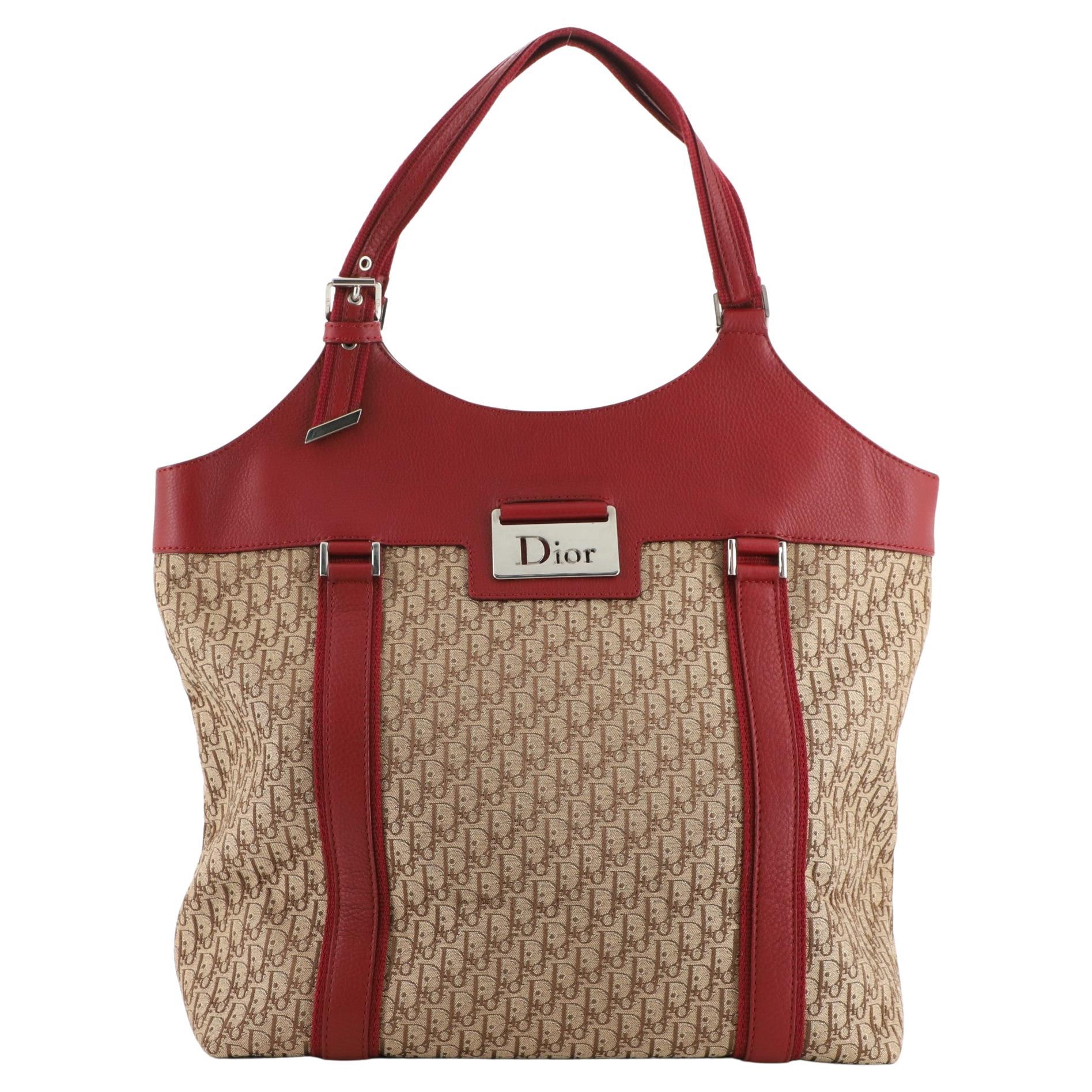 Christian Dior Book Tote Oblique Canvas Medium at 1stDibs