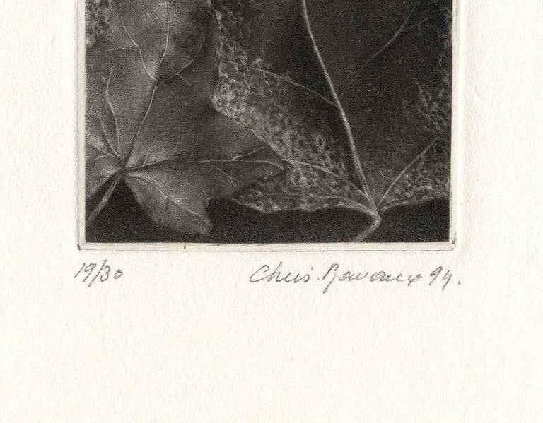 Christine Ravaux - Leaves For Sale at 1stDibs