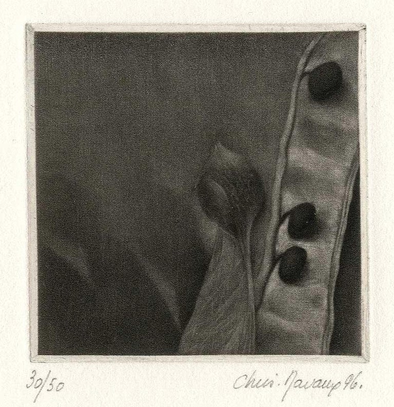 Christine Ravaux - Pod For Sale at 1stDibs