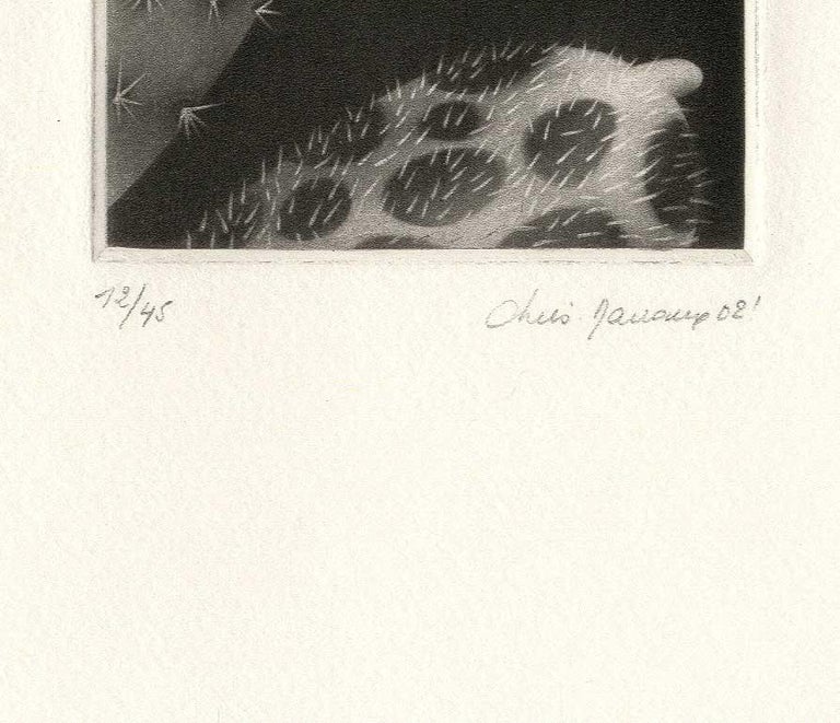 Christine Ravaux - Prickles and Hairs For Sale at 1stDibs