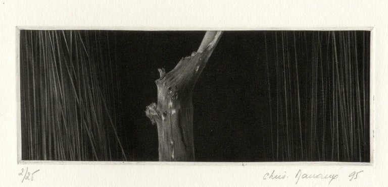 Christine Ravaux - Vertical Branch For Sale at 1stDibs