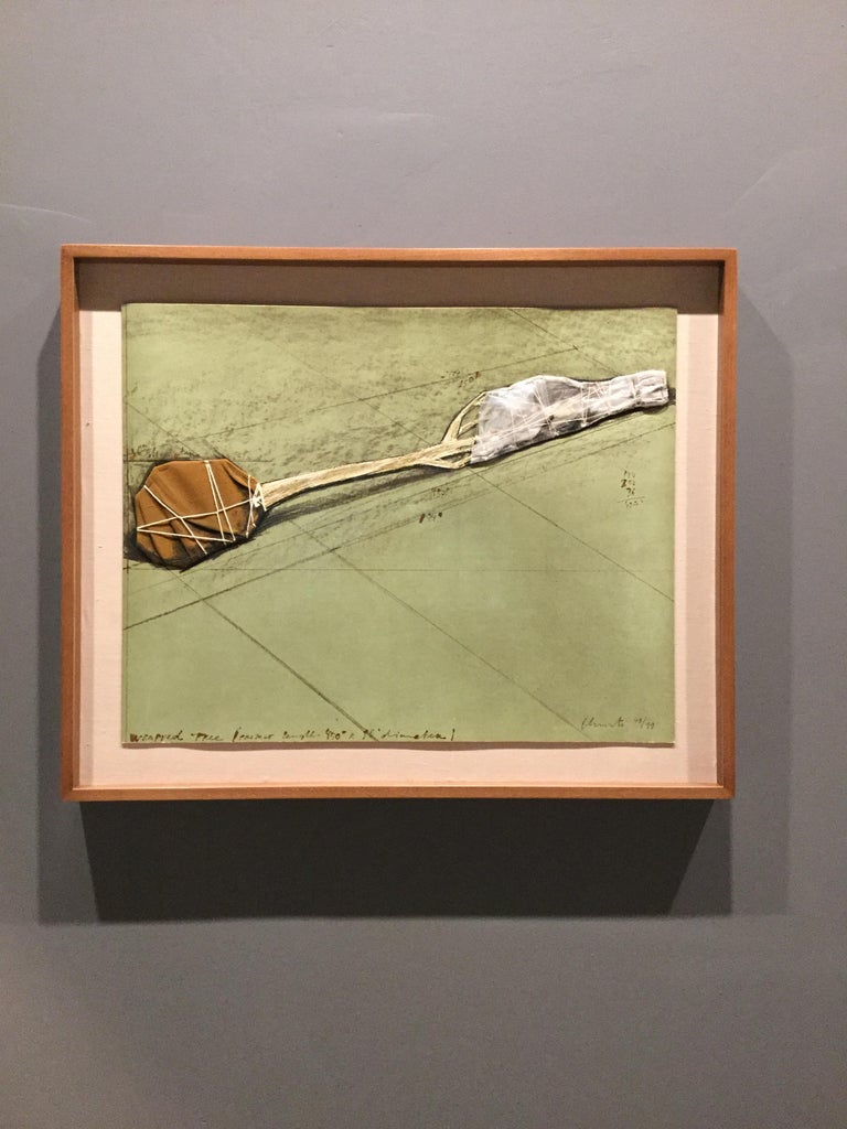 Christo and Jeanne, Claude Wrapped Tree, 1979 at 1stDibs