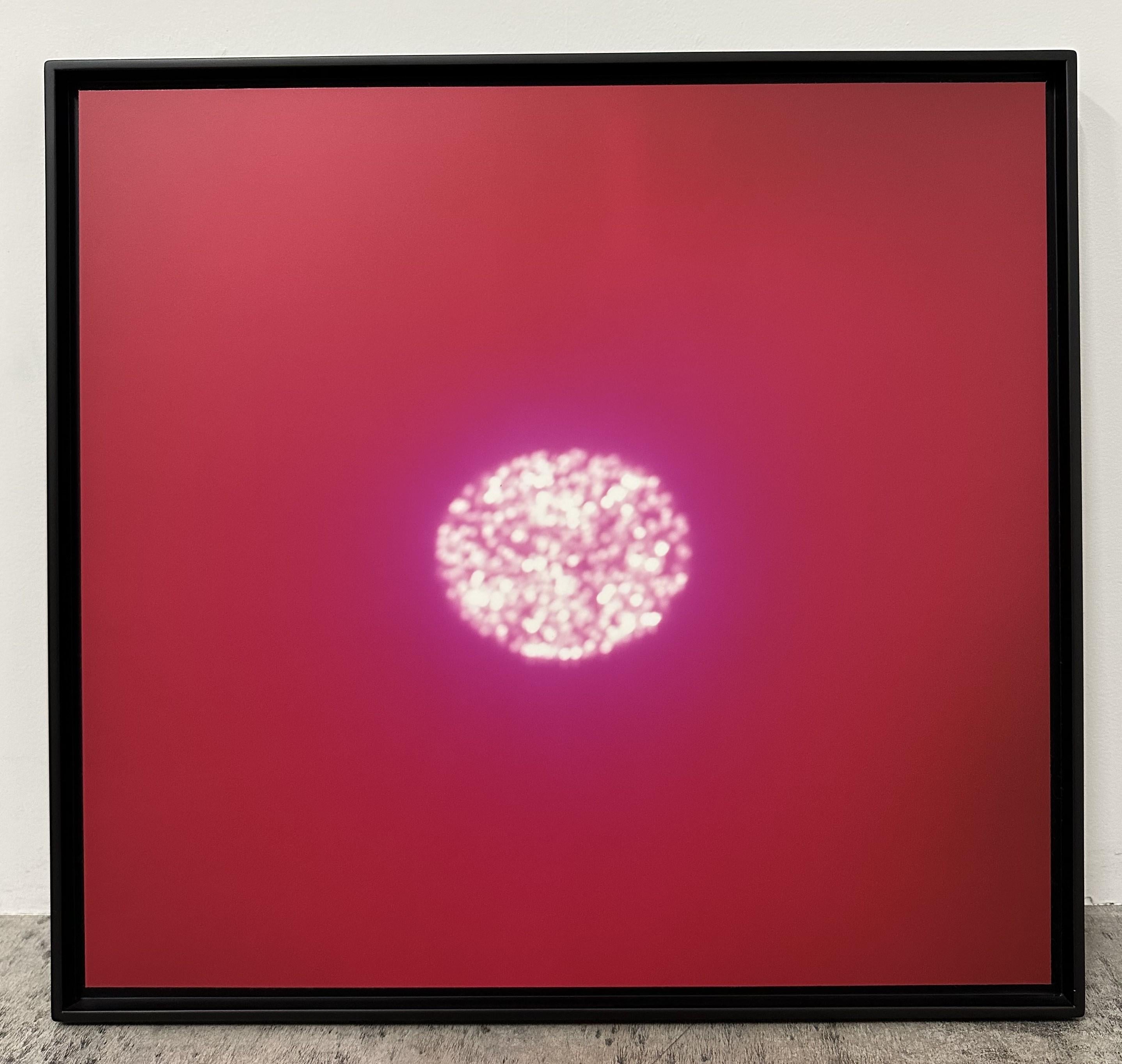 Christopher Bucklow Art - 3 For Sale at 1stDibs