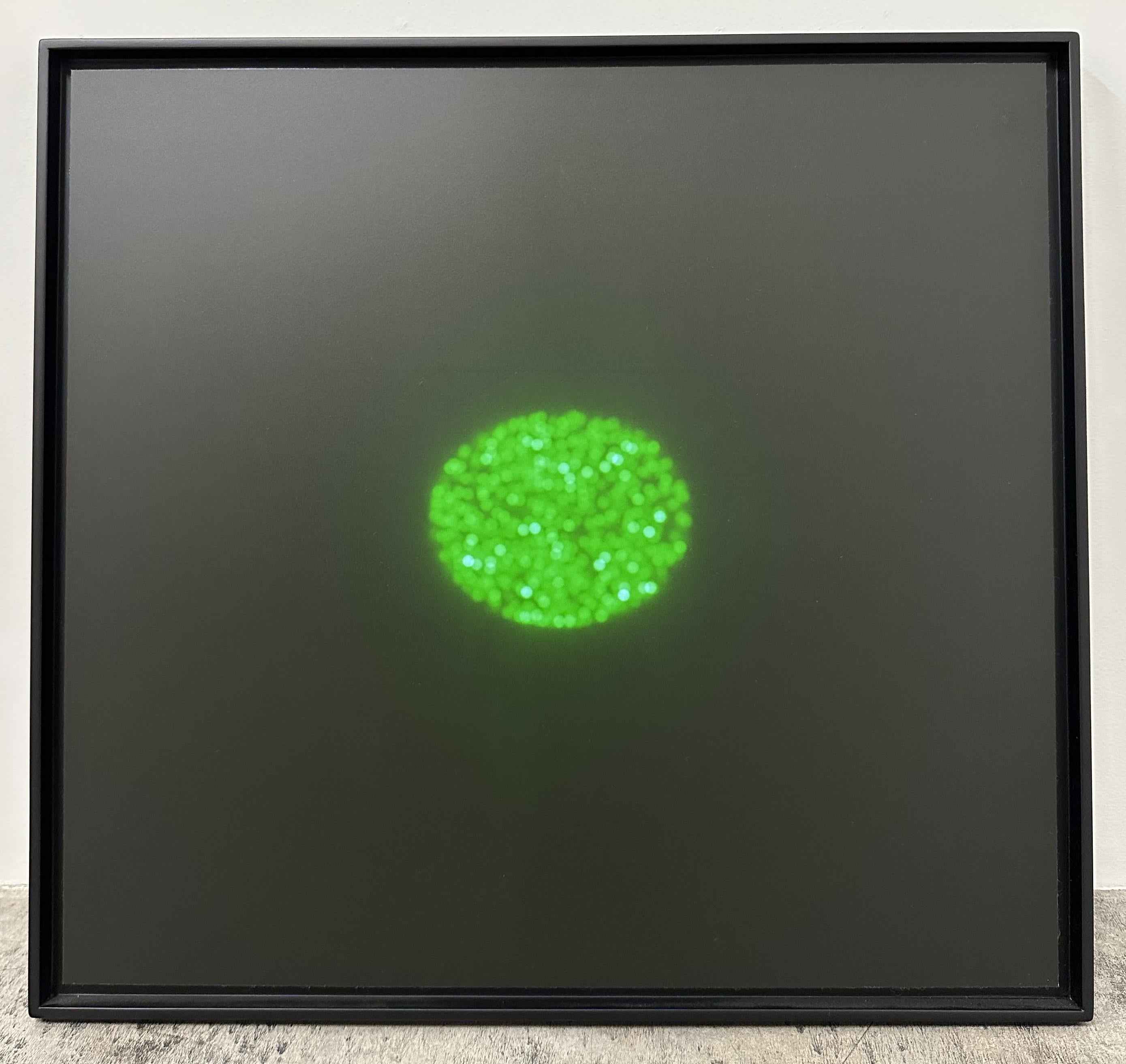 Christopher Bucklow Art - 3 For Sale at 1stDibs
