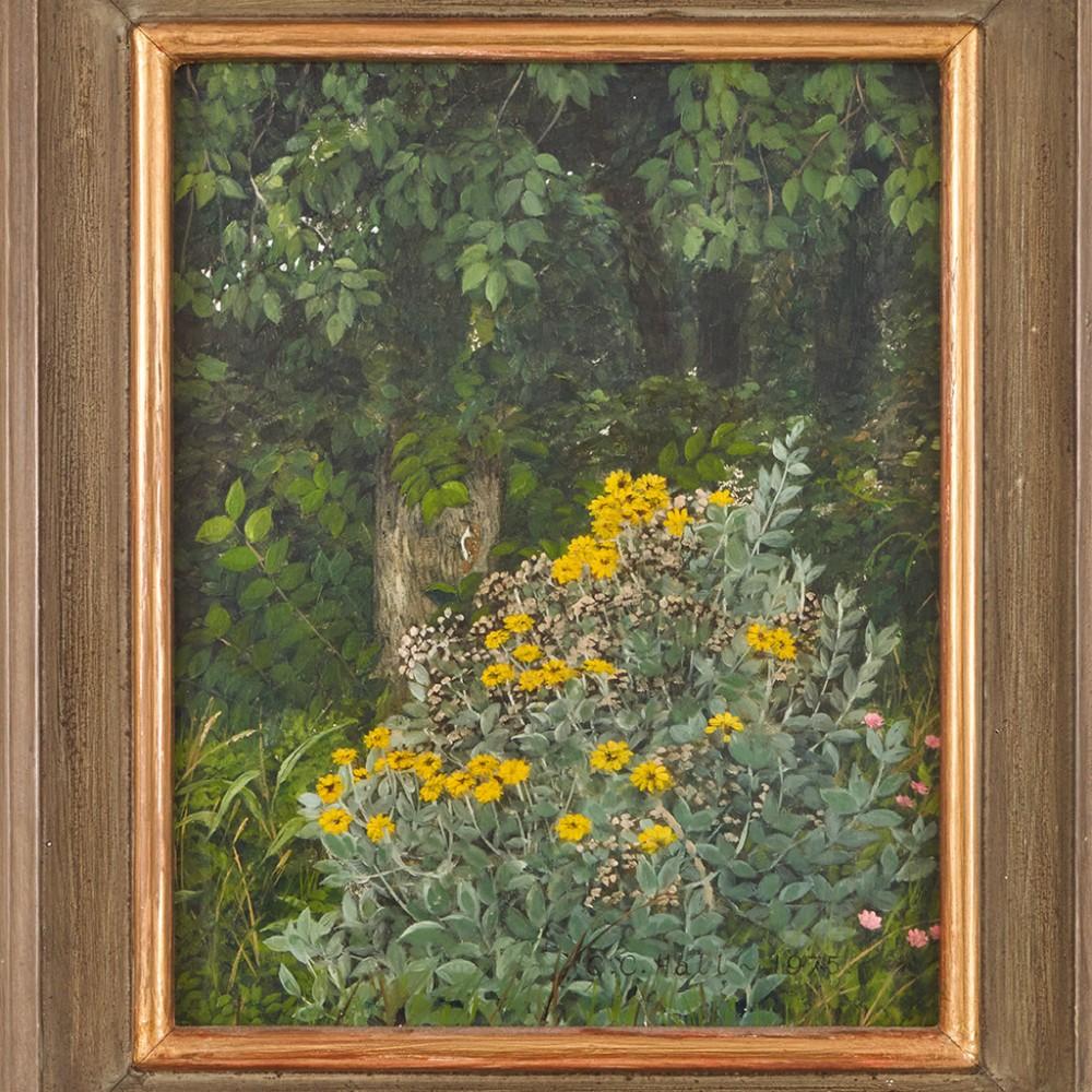 Christopher Hall A Senacio Plant Painting For Sale at 1stDibs