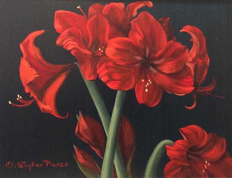 Christopher Pierce - Christopher Pierce, "Amaryllis", 14x18 Floral Oil ...