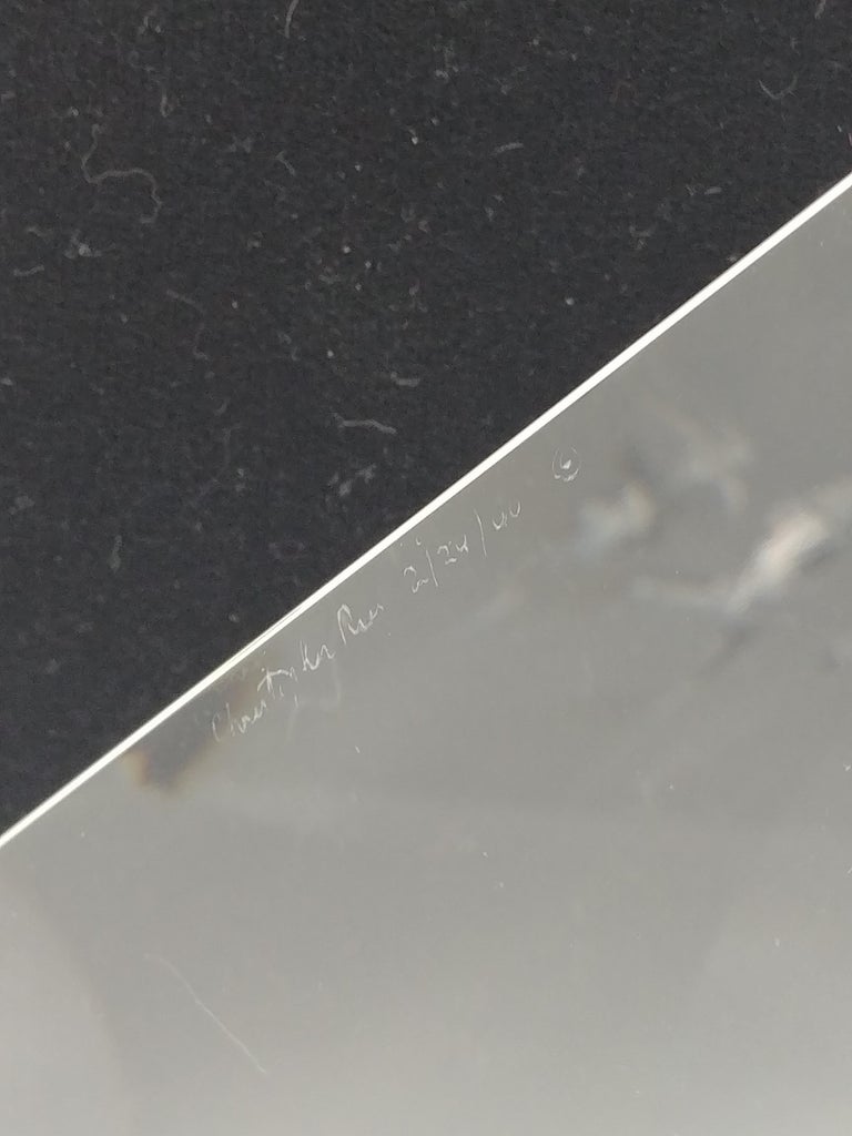 Christopher Ries, Abstract Glass Sculpture, "Falling Petals" Signed ...