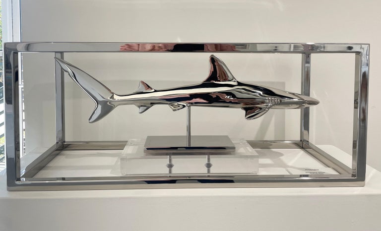 Christopher Schulz - Black Tip Shark For Sale at 1stDibs