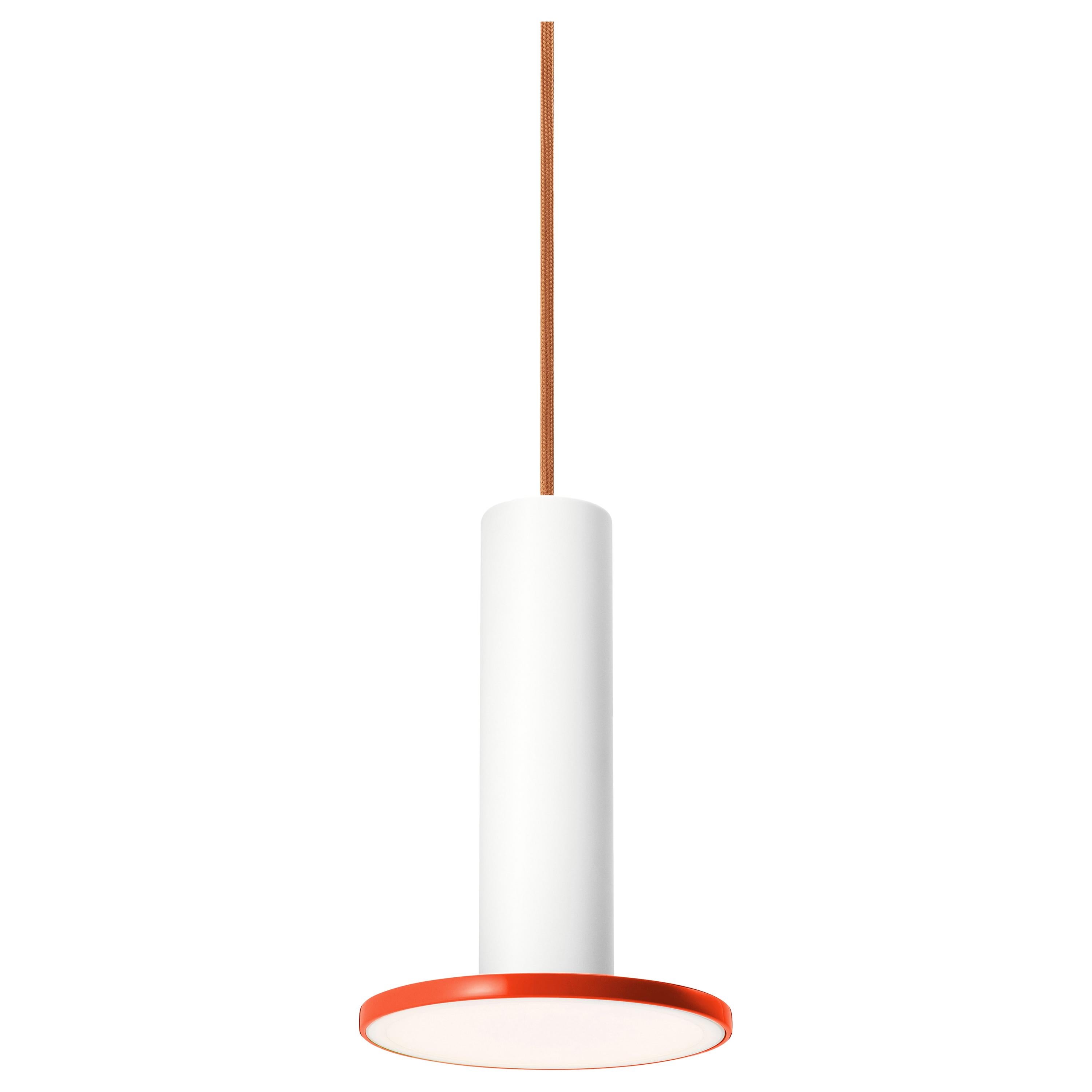 Cielo Pendant Light in Moss and Copper by Pablo Designs For Sale at 1stDibs