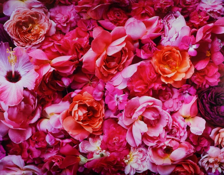 Cig Harvey - All the Pink Flowers, Rockport, Maine, 2020 For Sale at ...