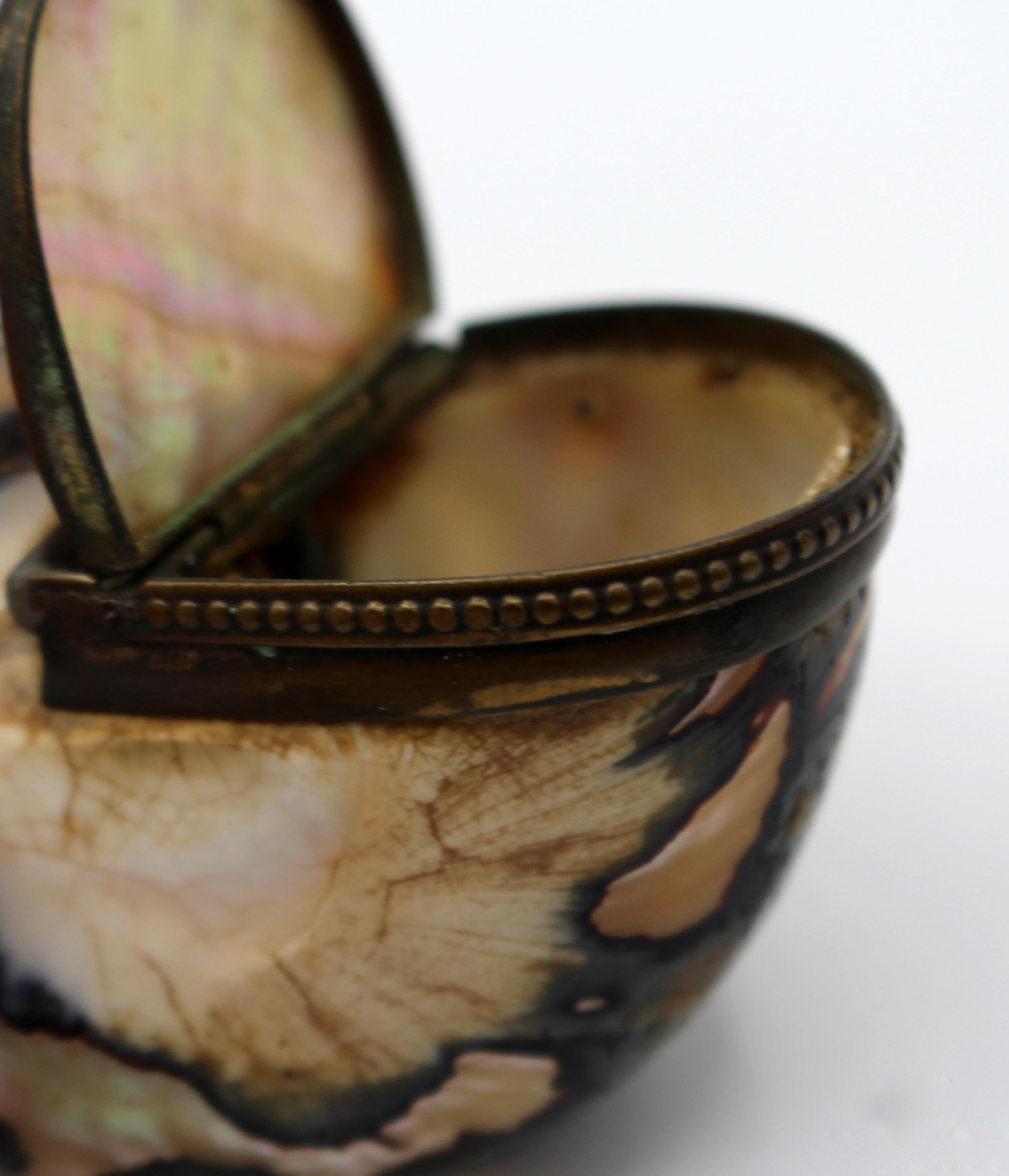 Circa 1800s Polished Snail Shell Snuff Box at 1stDibs
