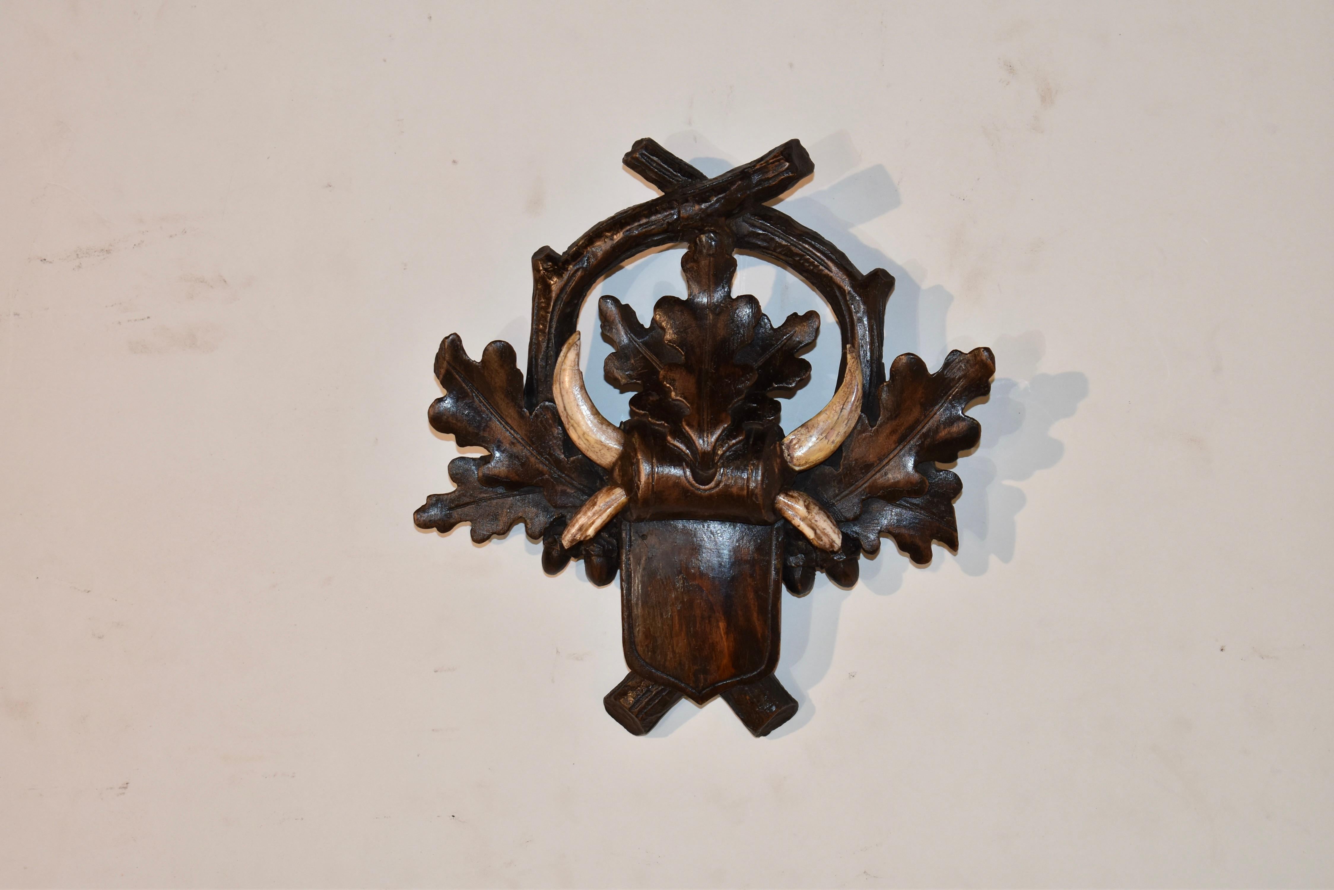 Circa 1900 Boar Tusk Trophy Plaque For Sale at 1stDibs