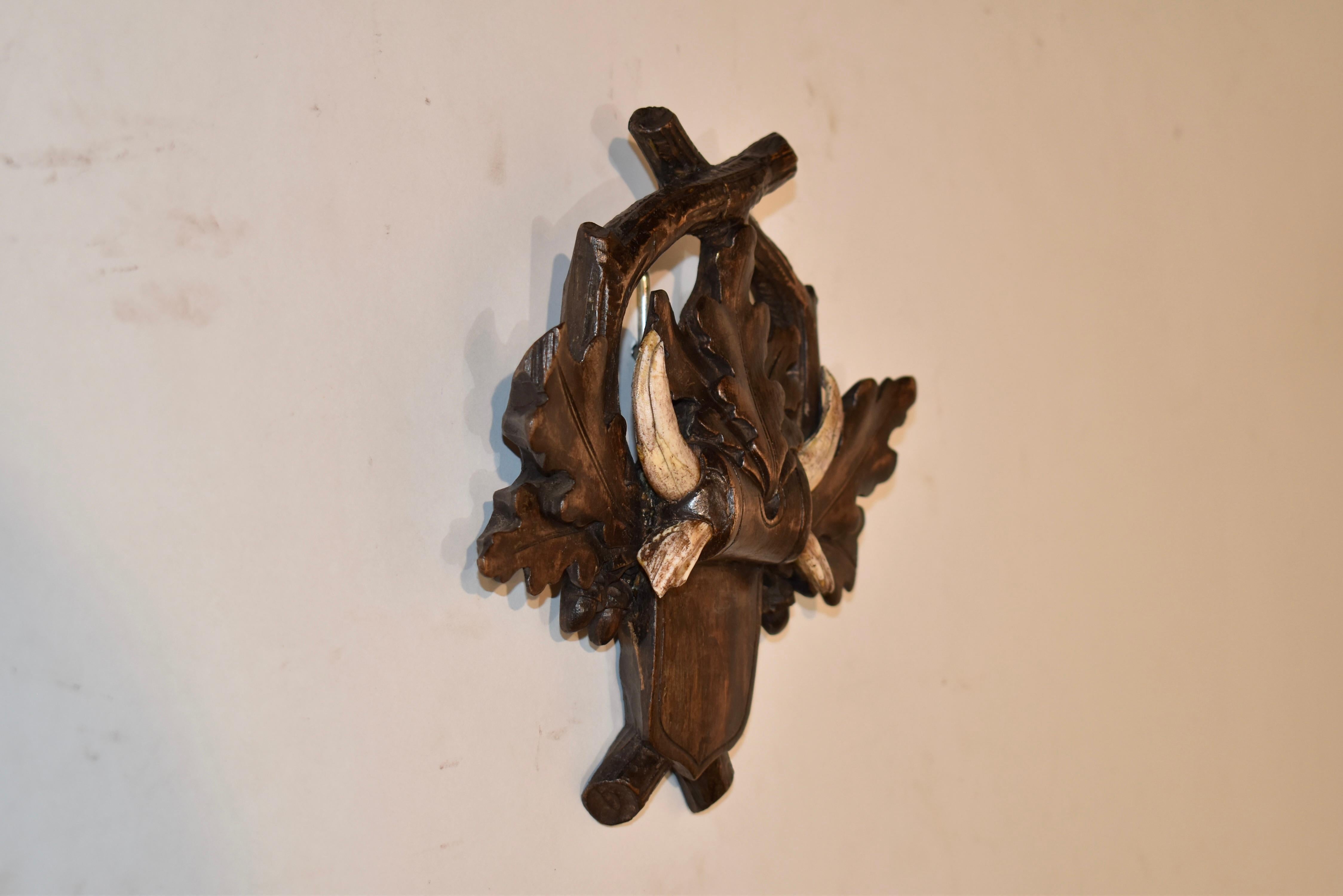 Circa 1900 Boar Tusk Trophy Plaque For Sale at 1stDibs