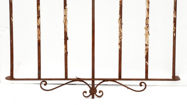 Circa 1900, Wrought Iron Brownstone Window Guard For Sale at 1stDibs