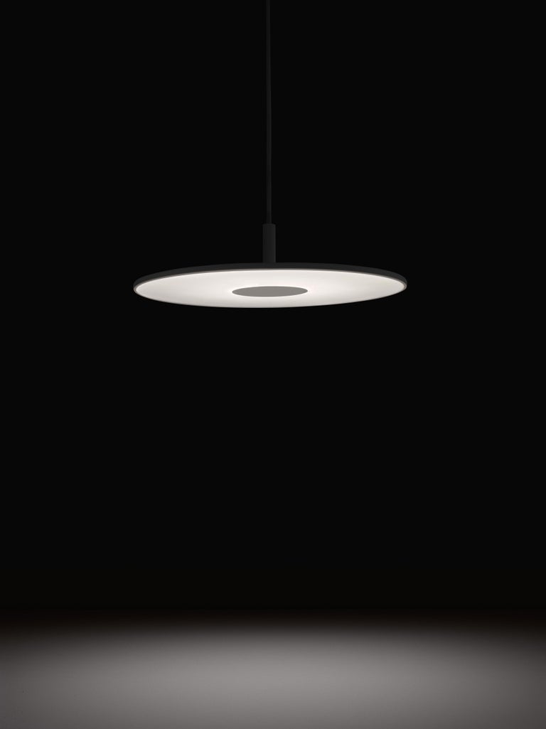 Circa Pendant Light in Graphite by Pablo Designs For Sale at 1stDibs