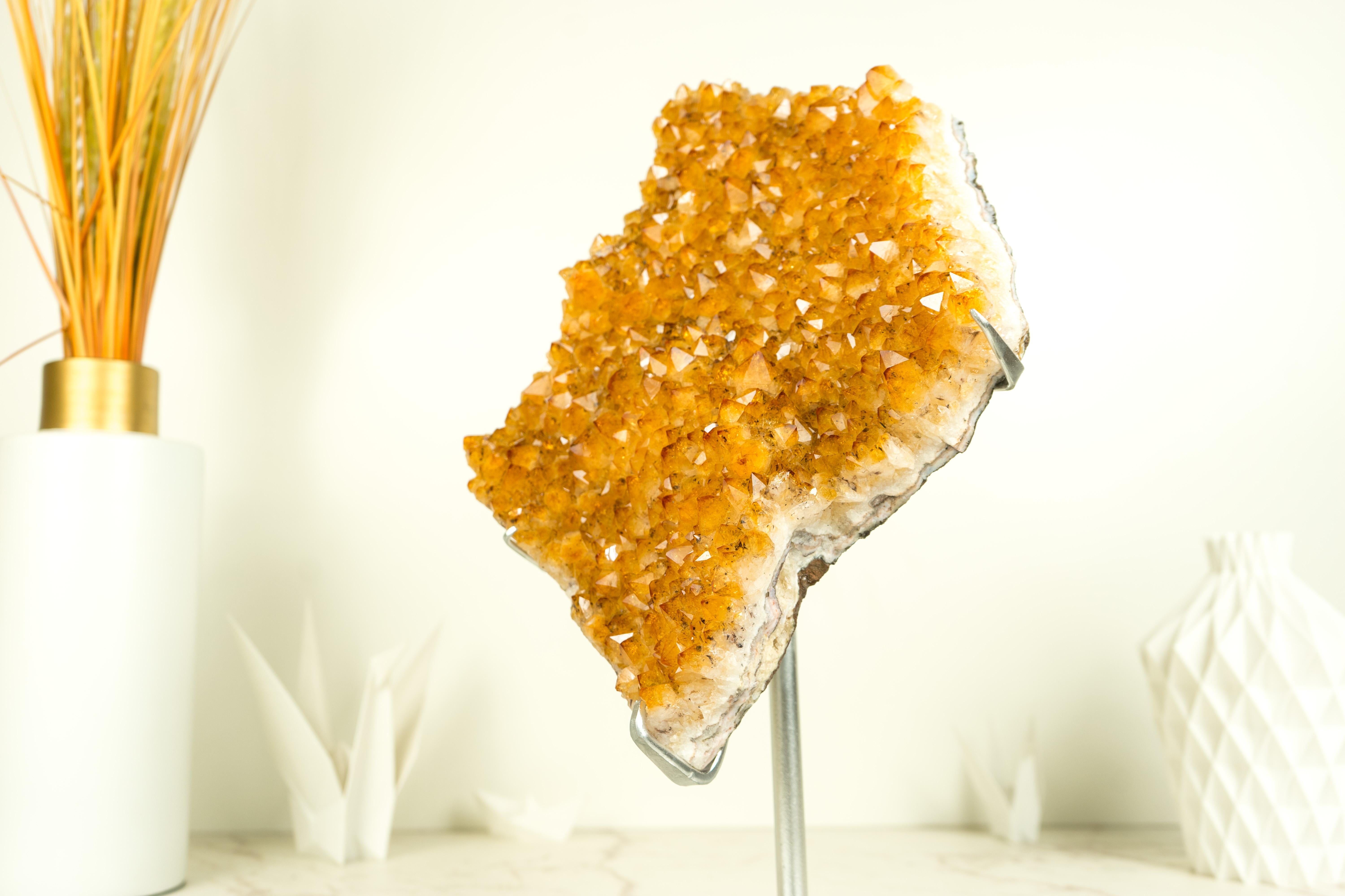 Citrine Crystal with Shiny Golden Yellow Citrine Druzy on Display For ...
