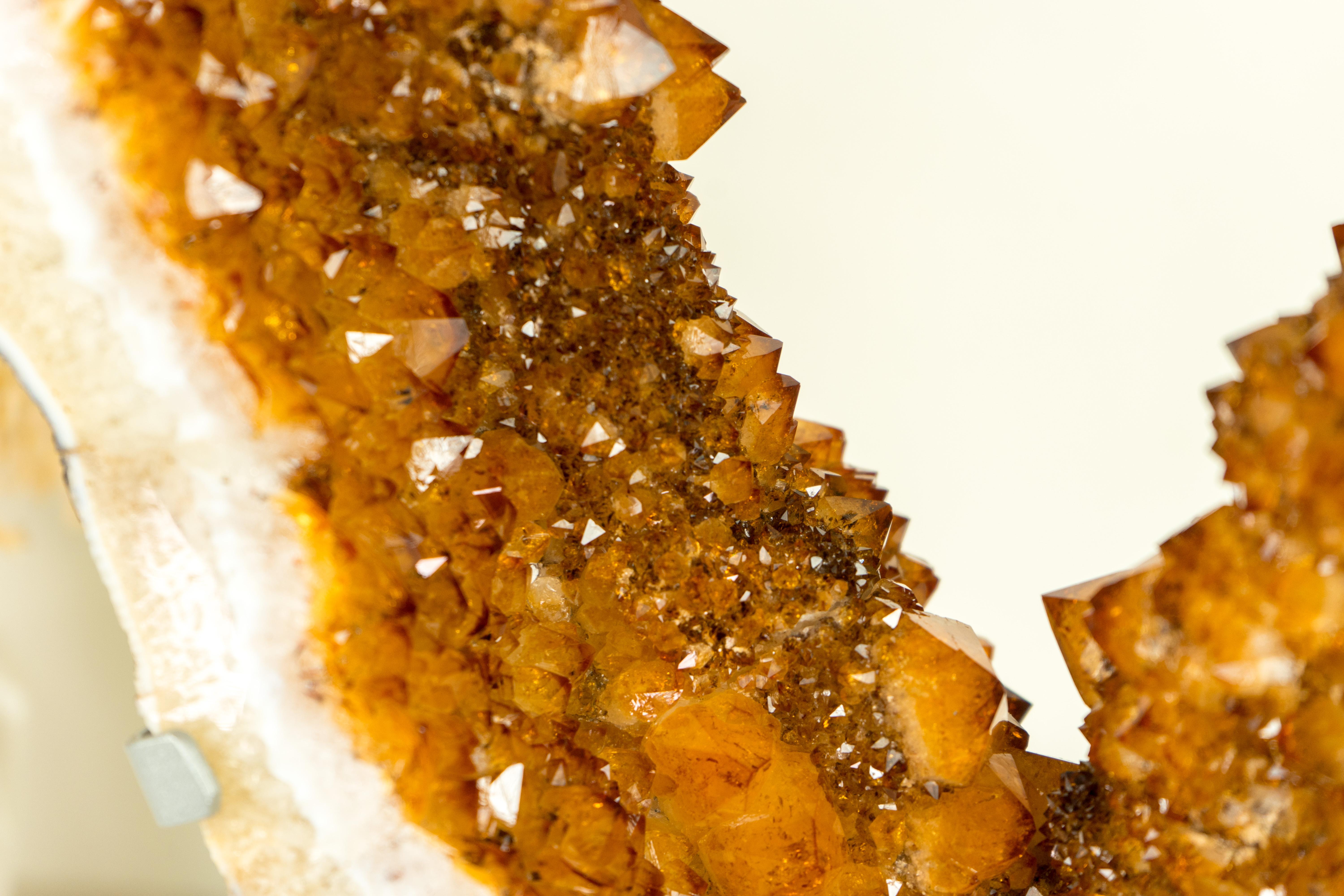 Citrine Geode Slice with a Crown Formation and Golden Orange Druzy on ...