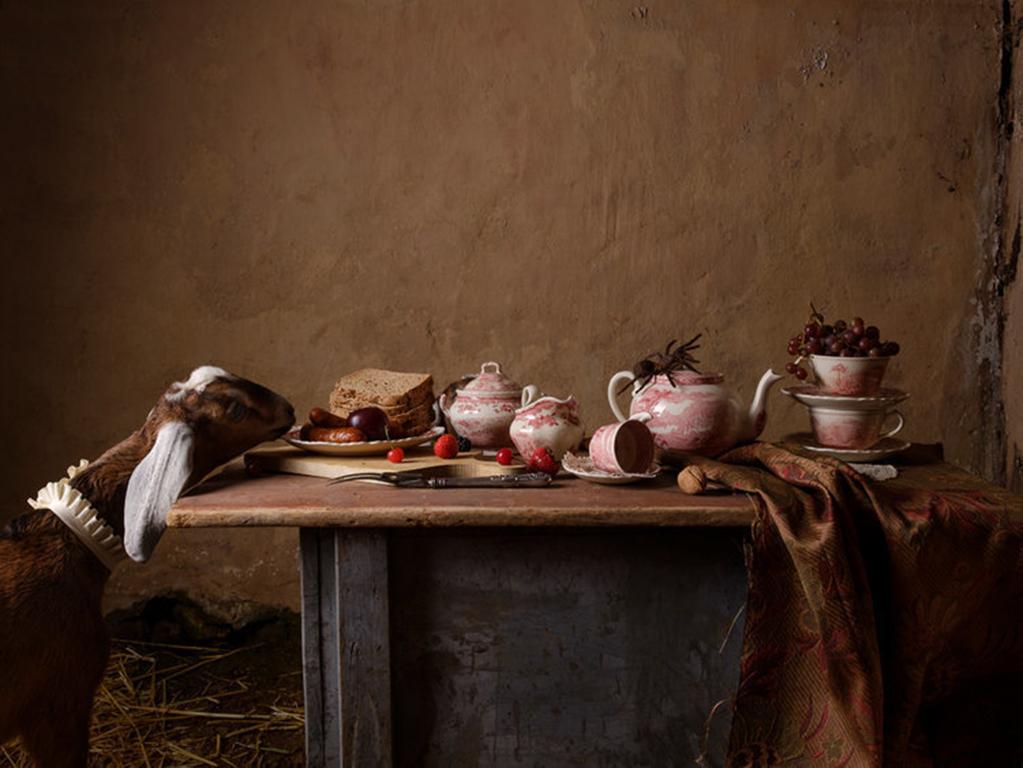 Claire Rosen - Fancy Parakeet No. 0091 For Sale at 1stDibs