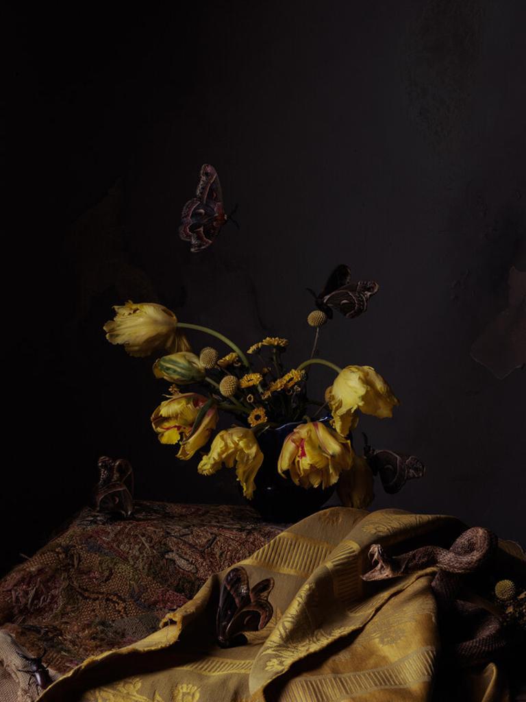Claire Rosen - Rattlesnake and Tulips - Dark golden yellow tulip ...